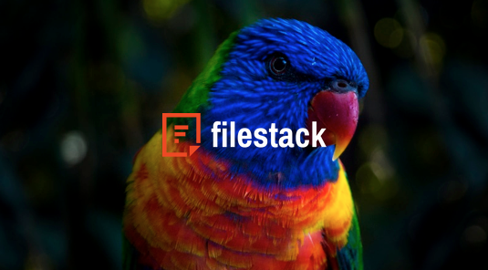 Filestack–Filter, crop, resize API for png, jpg & more images " />