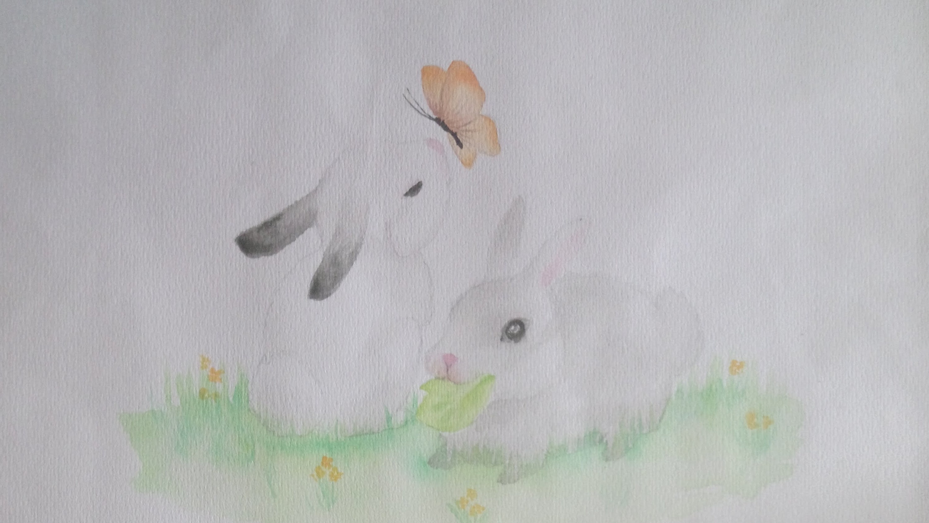 Book Launch: A Tale of Two Rabbits - SponsorMyEvent