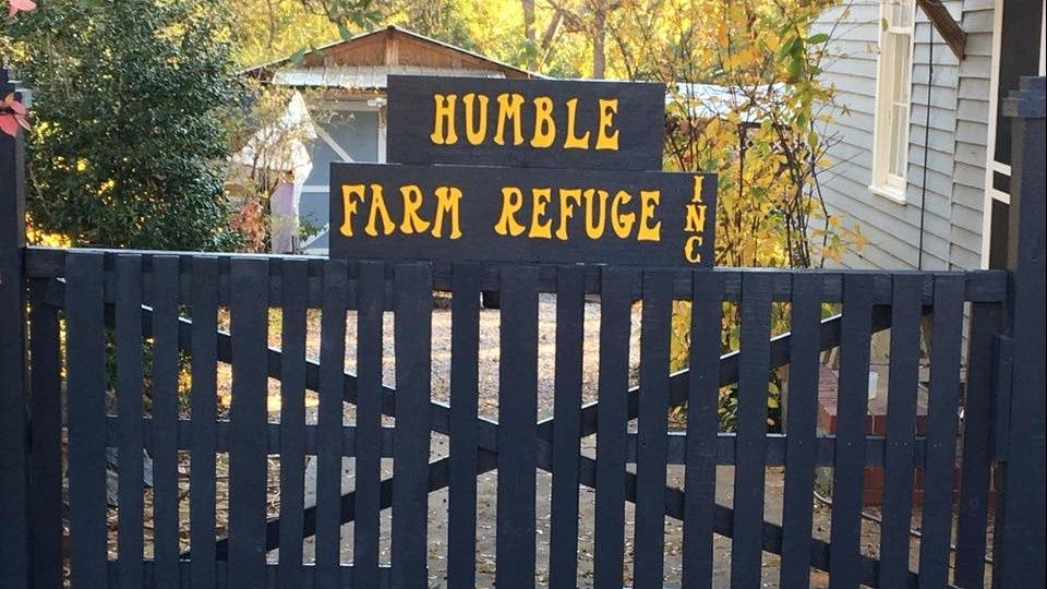 Humble Farms Refuge presents "John Daso Art Show" - SponsorMyEvent