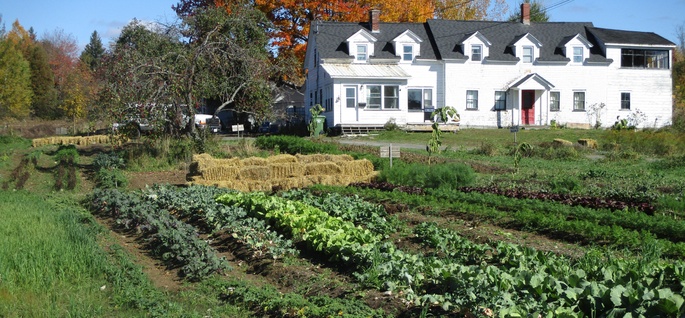 Hayes Farm for Community! | Chuffed | Non-profit charity and social ...