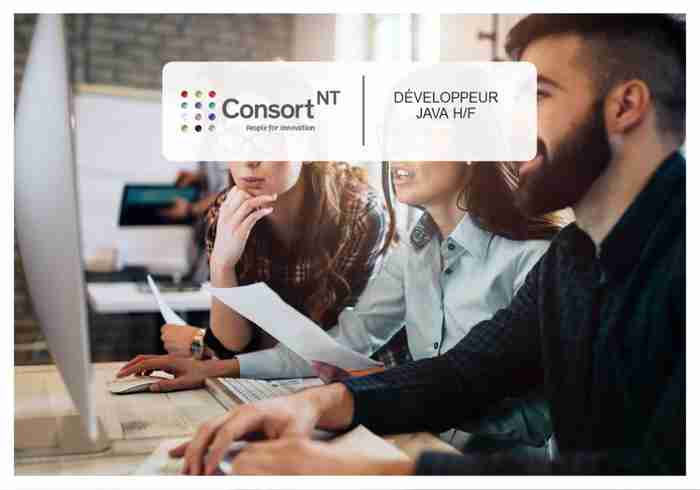 Développeur chez CONSORT NT Luxembourg - Offres d'emploi et salaire ...