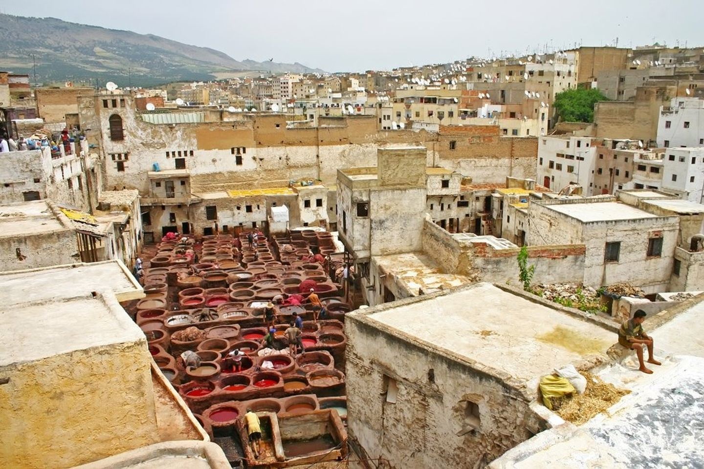 6 Days Imperial Cities Tour from Tangier in Tangier, Morocco