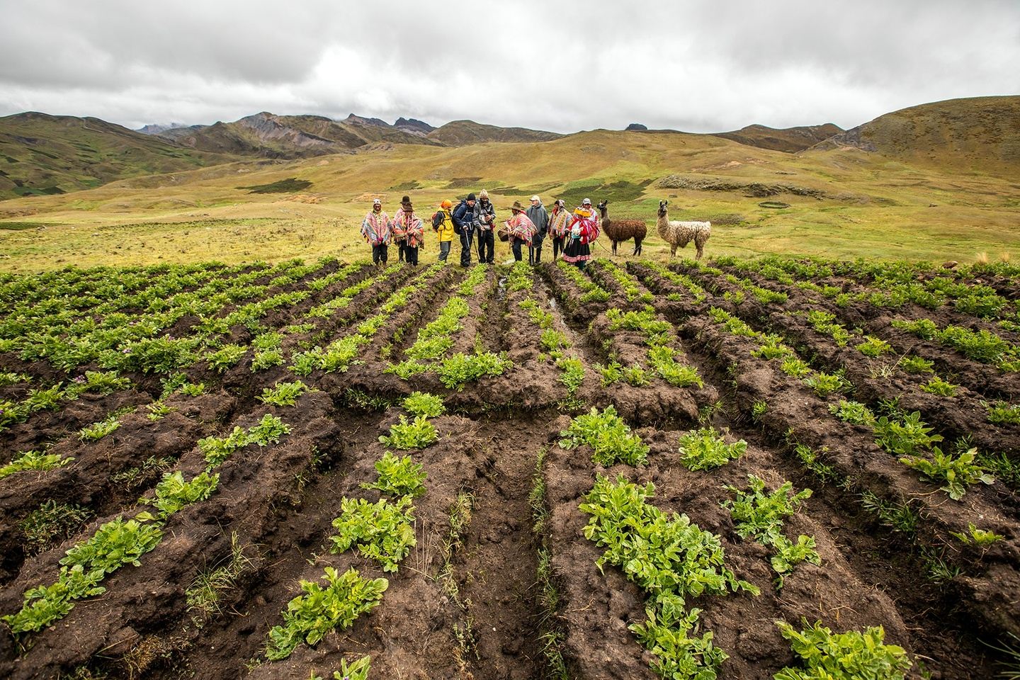 La Base Lamay - Community Day in Lamay, Peru