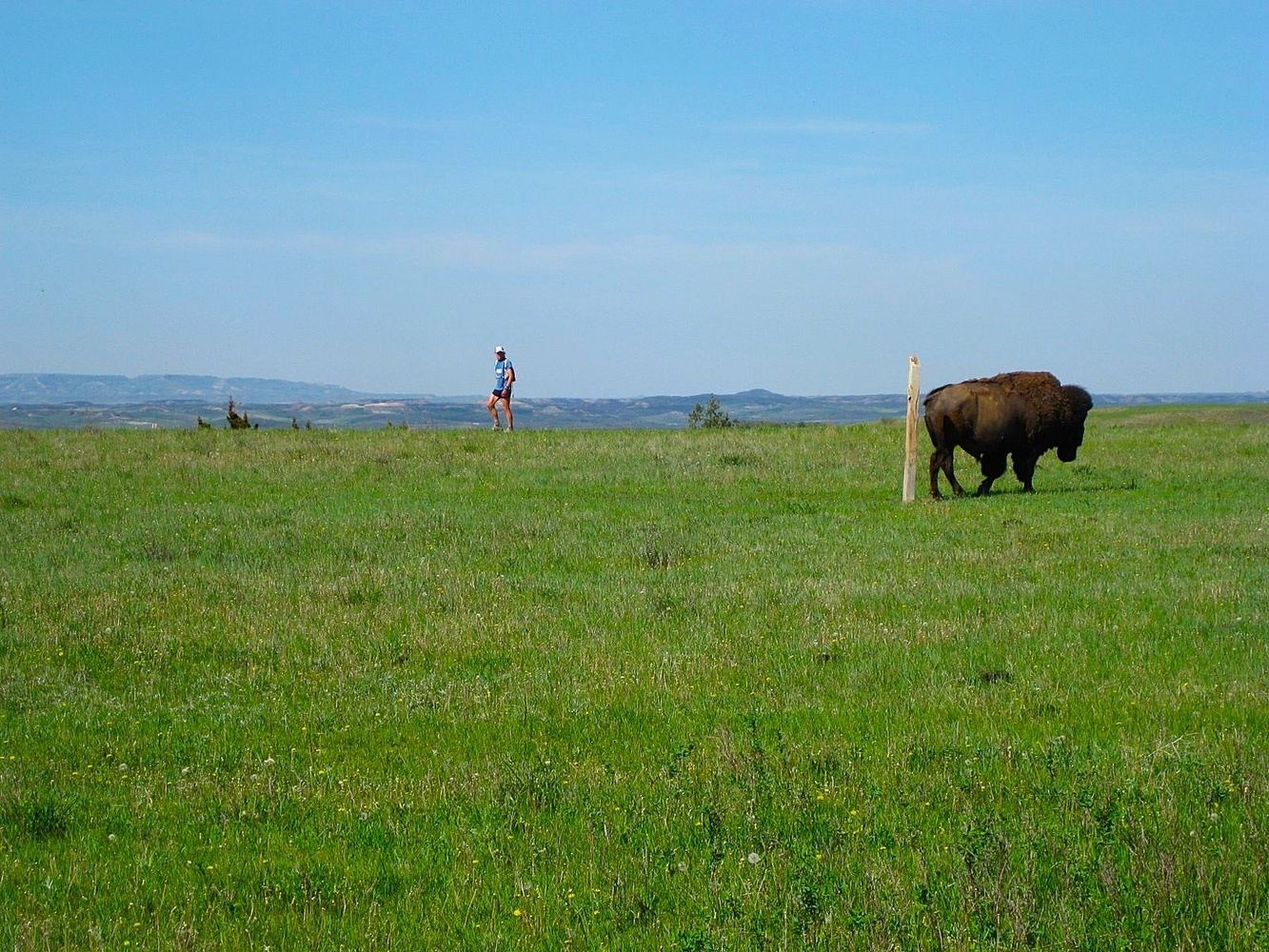 Maah Daah Hey Trail in Medora, ND 58645, USA