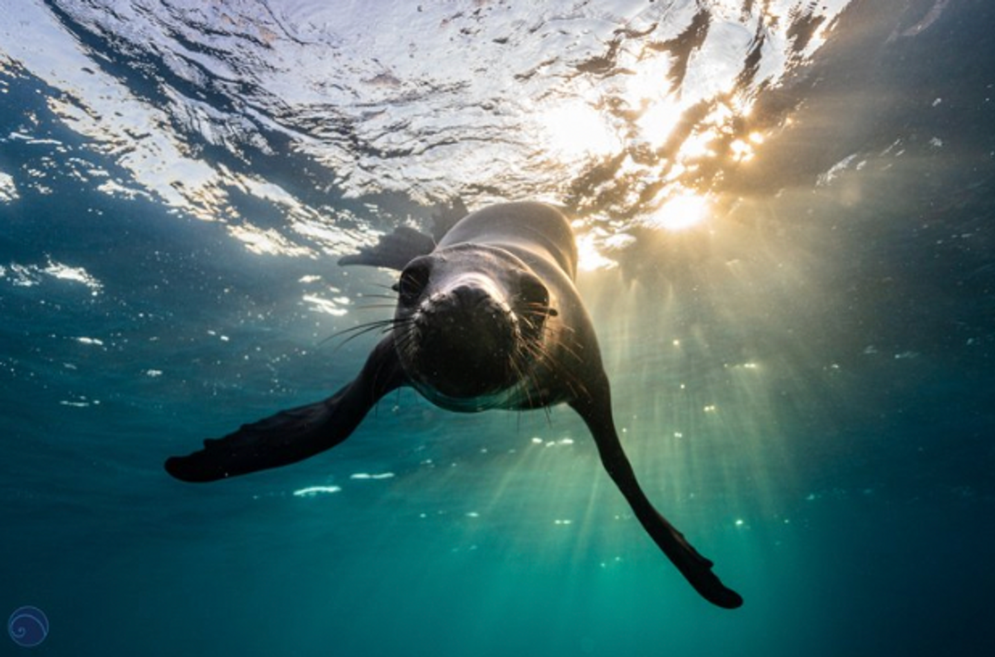 Magbay Safari - 2 day trip in Baja California Sur, Mexico