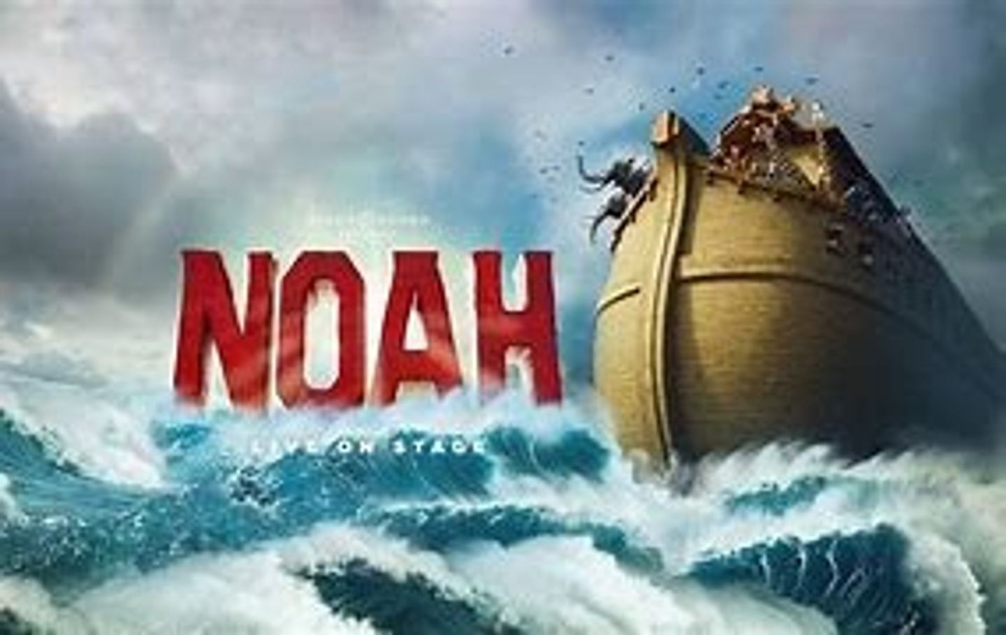 Noah in Lancaster, PA