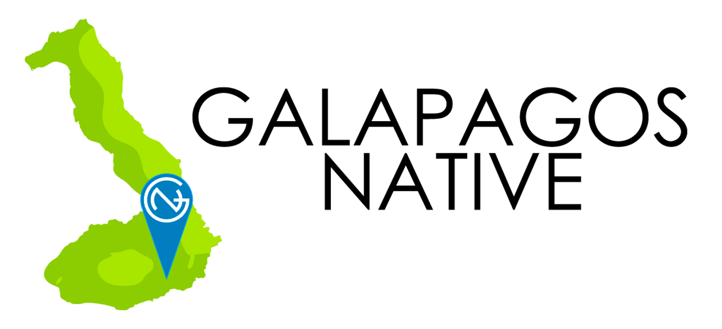 MEREDITH BARKER X4 FERRY TICEKTS 27 Y 30 DE DICIEMBRE in Islas ...