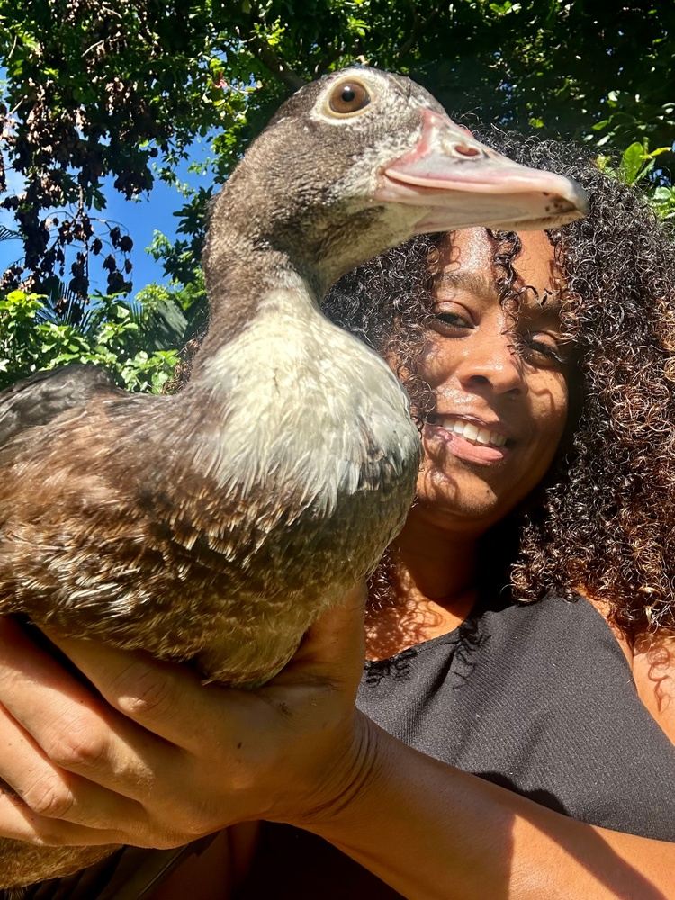 Rhythms of the Land: Black History & Ancestral Connection in Finca Ana Isa