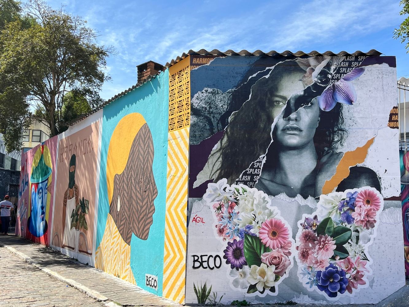 SÃO PAULO -TOUR EXPRESS -MAIN ATTRACTIONS - 4 HORAS - 3 PAX in São ...