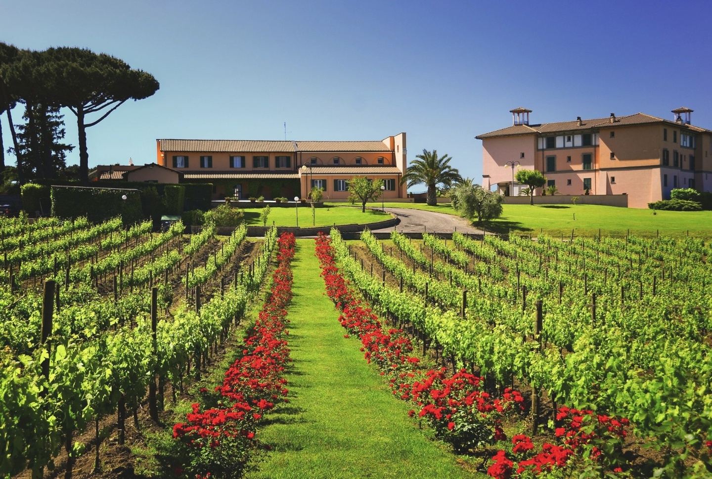 University of Dallas Optional Rome Add On in Rome, Metropolitan City of ...