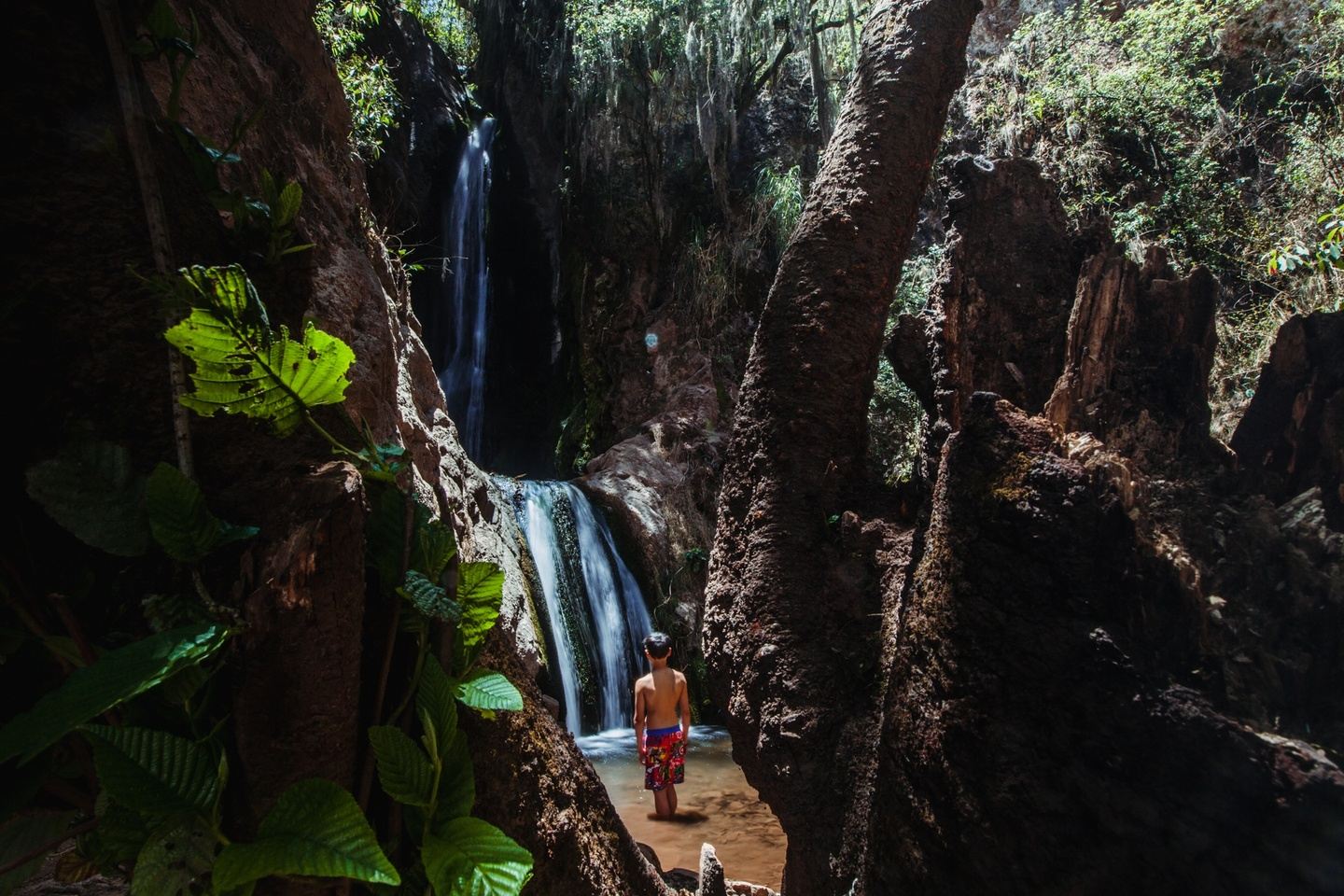 La Base Lamay - Sirenachayoc Forest Bath and Hike in Lamay, Peru