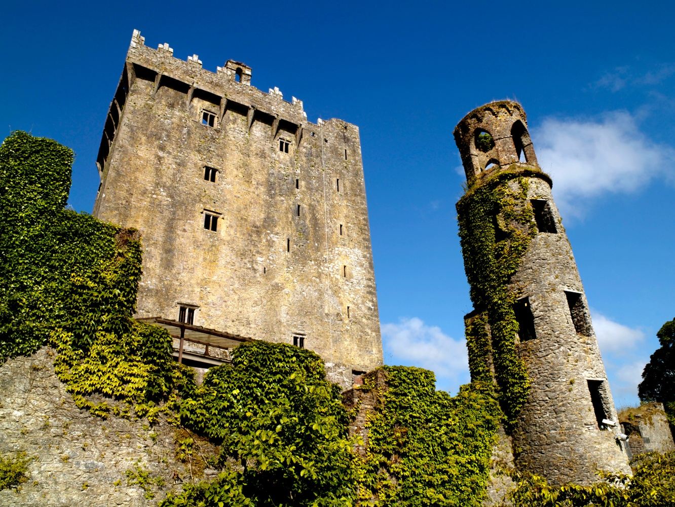 8 Day Irish Castles & Coasts Experience Tour in Dublin, Ireland