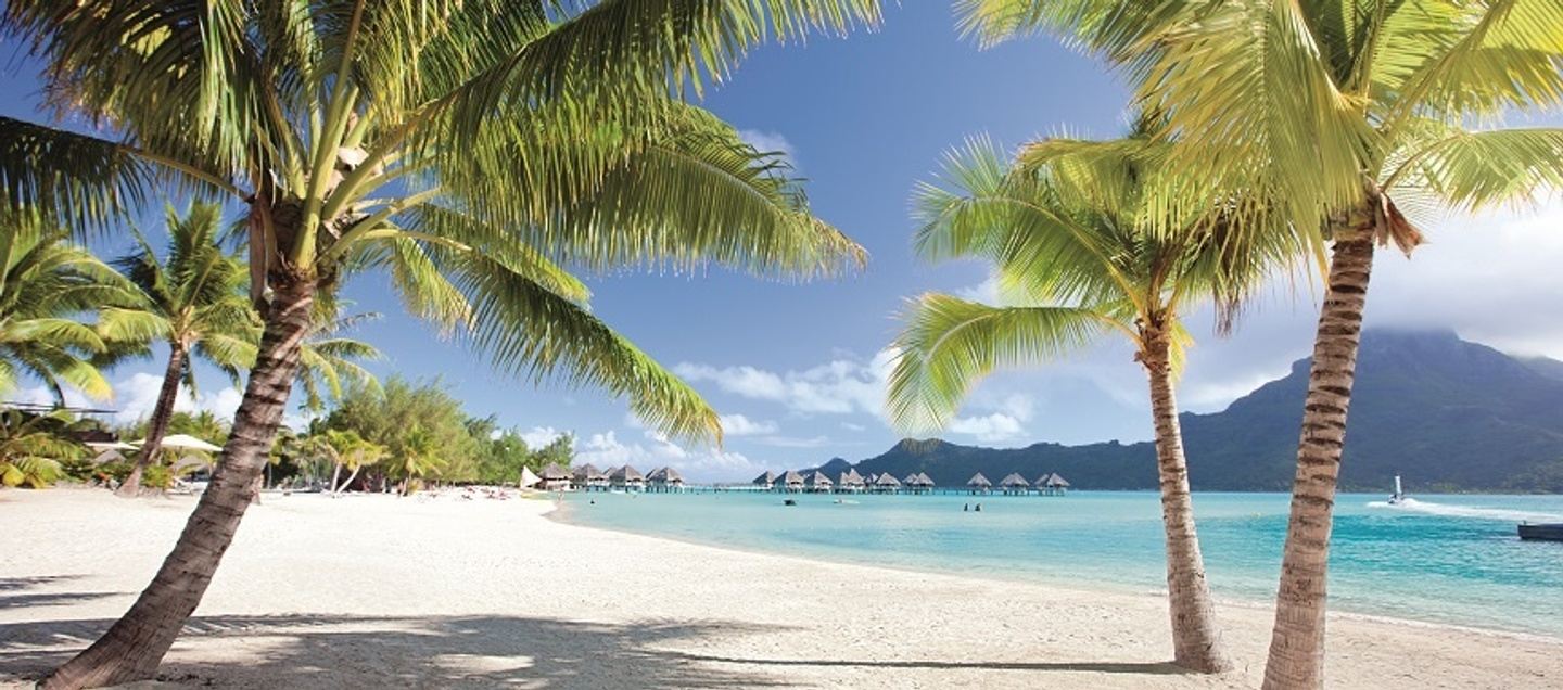 New Year's in Paradise...Dreams do come true! in Papeete, French Polynesia