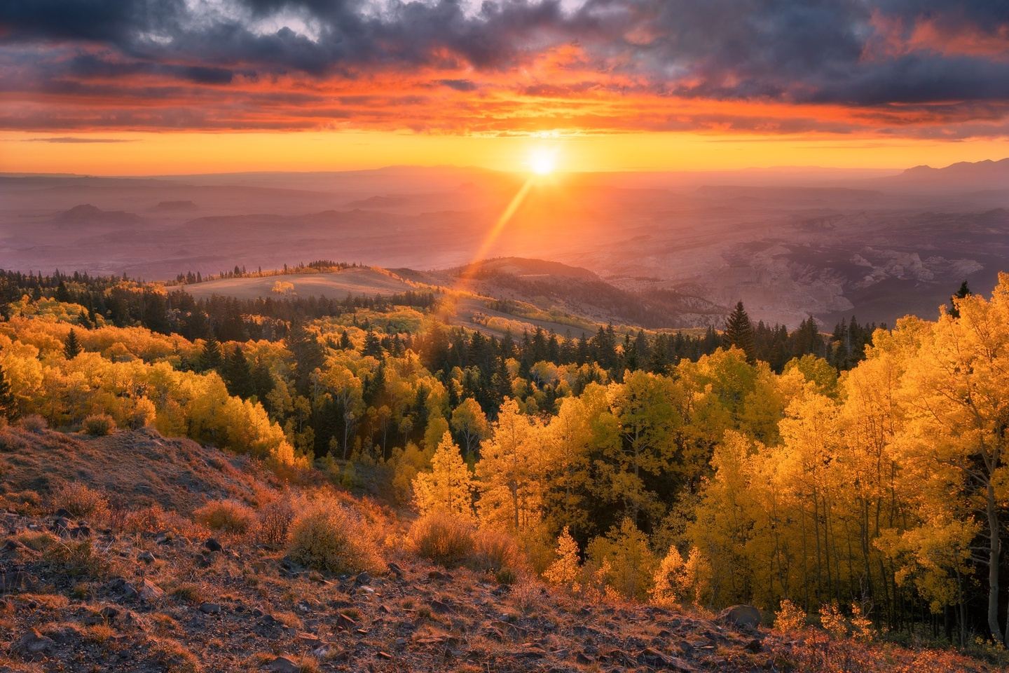 Utah Mountains Fall Workshop in Torrey, UT 84775, USA