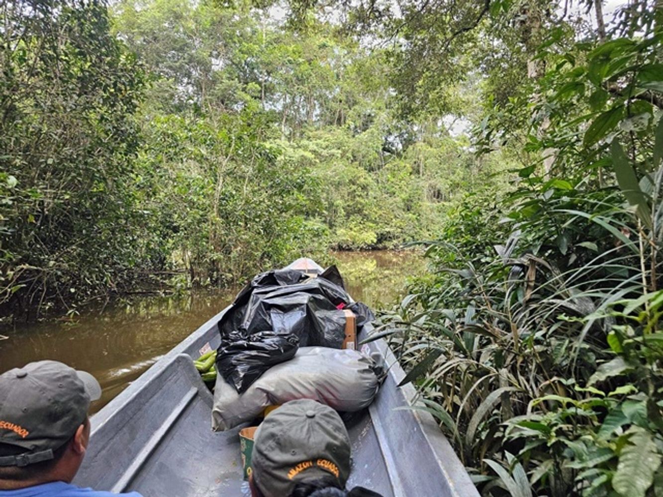 Amazon Volunteer Trip December 2026 in Cuyabeno, Ecuador