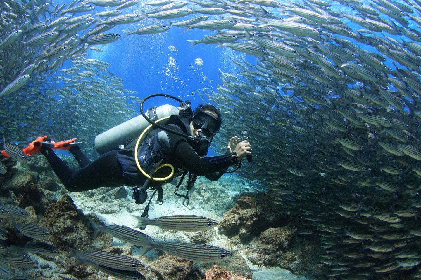 Galapagos Dive-Hopping for Ben in Puerto Ayora, Ecuador