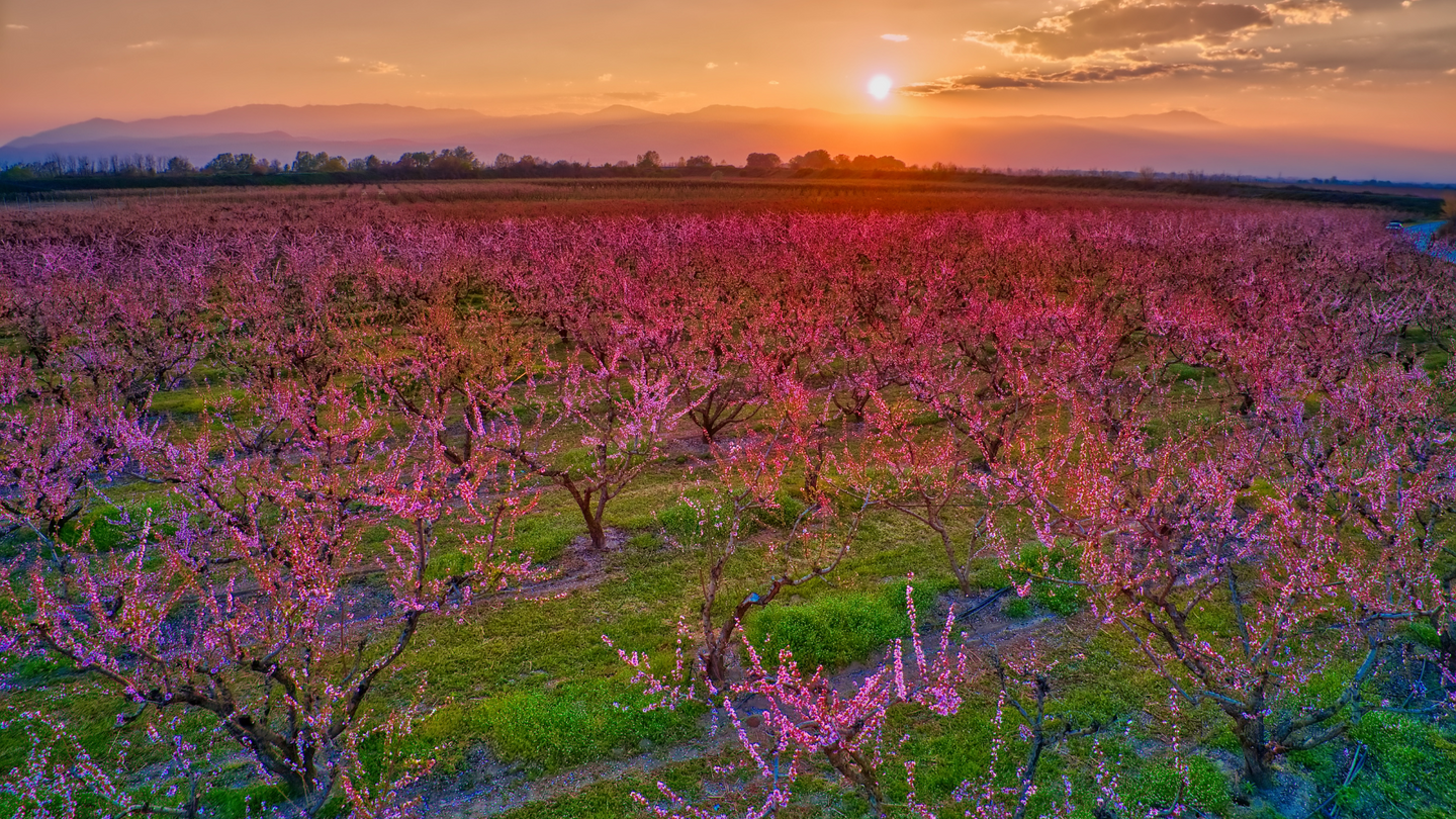 Fr. Michael Nixon - In the Footsteps of St. Paul in Athens, Greece