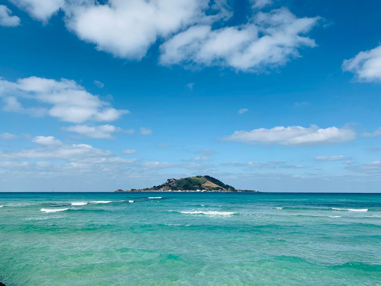 3 Days Jeju Island Purple Journey in 대한민국 제주특별자치도 제주시