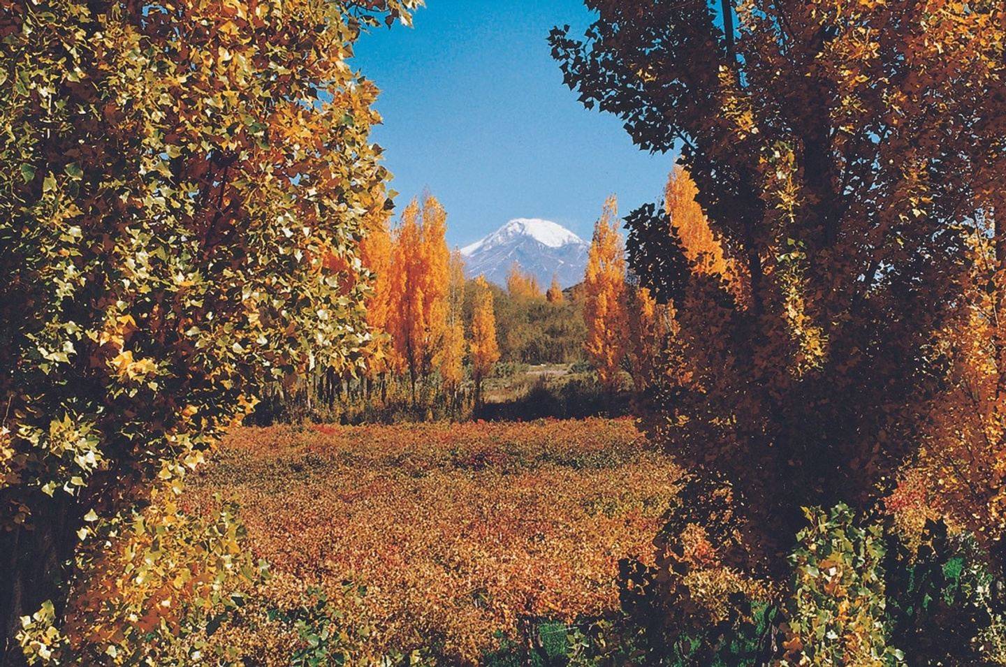 Sara Jane Snook - Exploring Argentina: Mendoza and Buenos Aires in ...