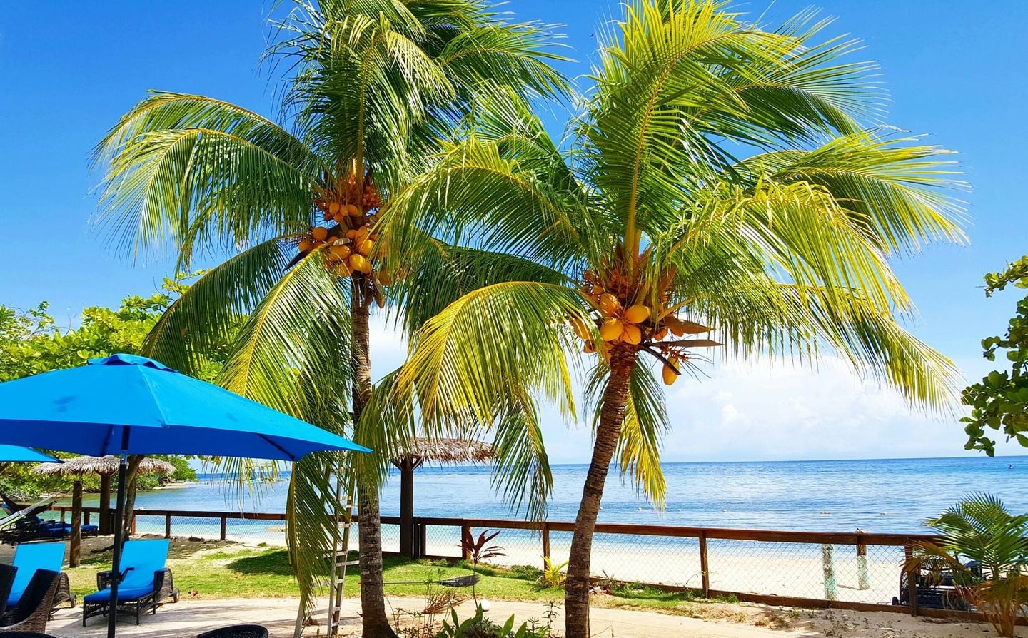 Roatan Yoga Retreat in Calabash Bight, Honduras