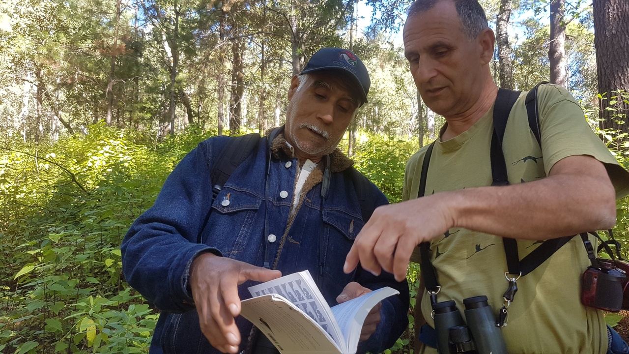 Reserva de la Chara Pinta: observación de aves y senderismo (2 días) in ...