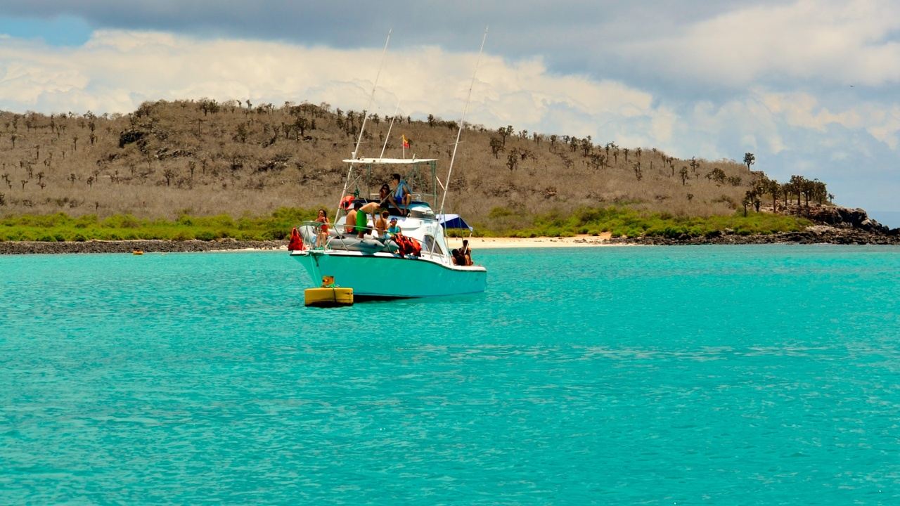 10 DAY - MEGA GALAPAGOS 360 TOUR "A" - IDEAL - SMART25 in Puerto Ayora ...