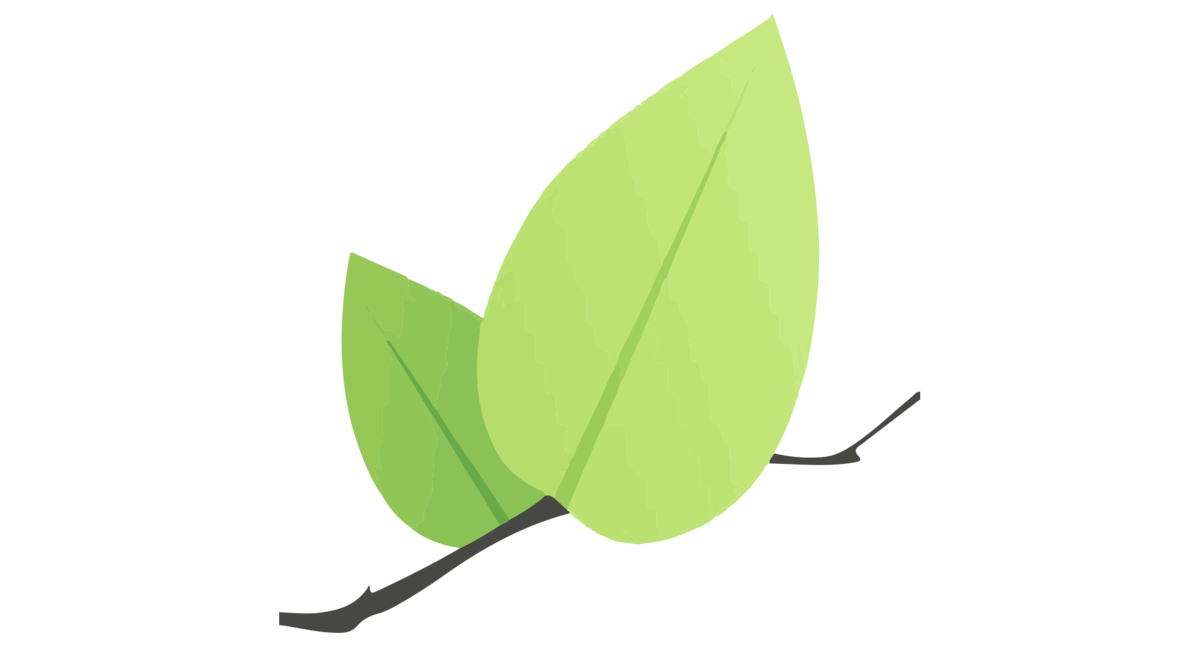 Profil de François Vitry