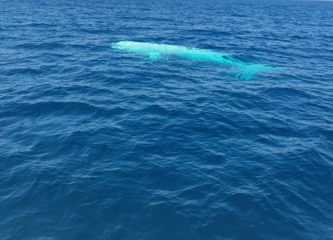 Tour Nayeli in Ecuador galapgos