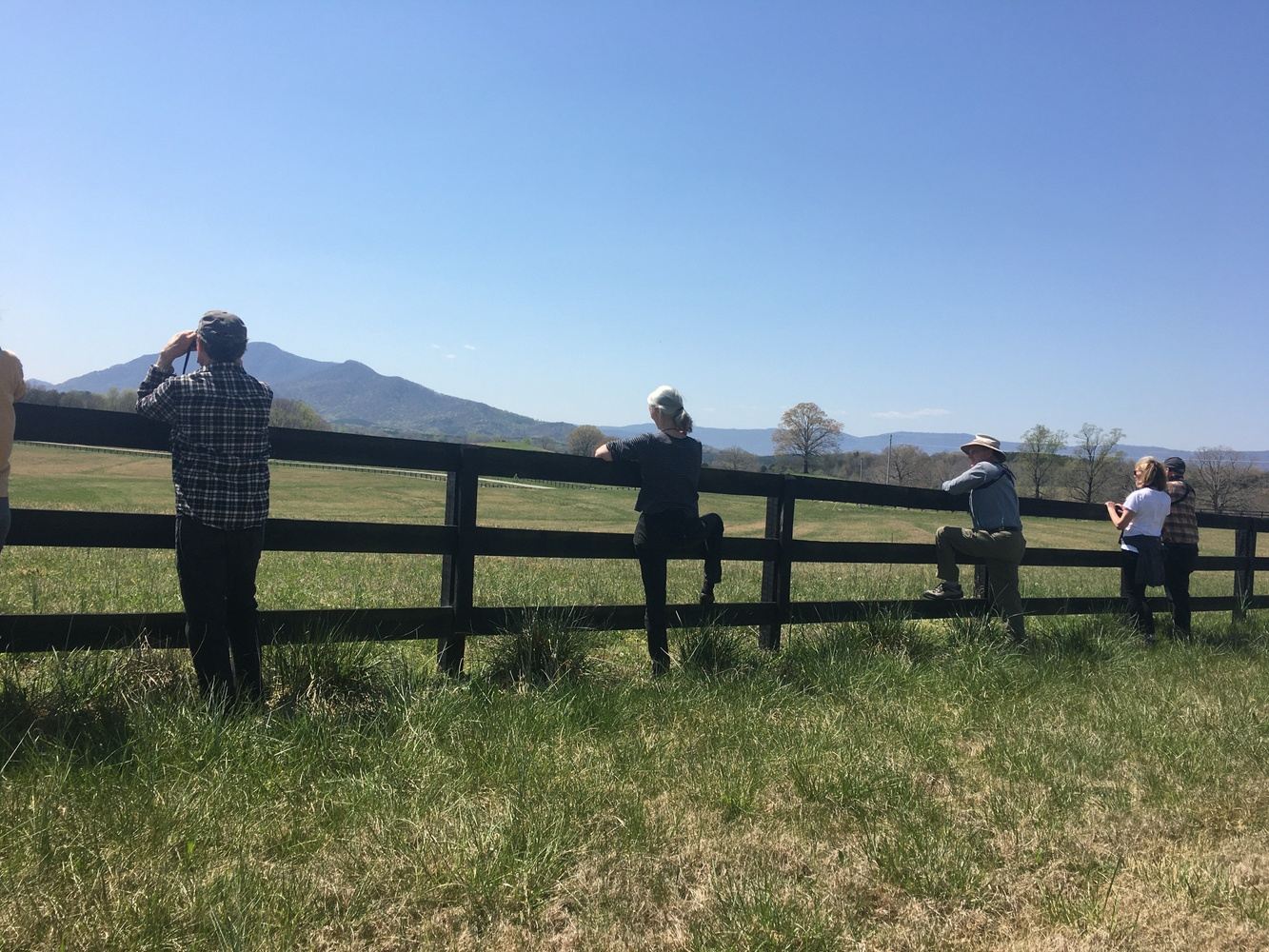 Spring Birding at Bynum Bridge in Pittsboro, NC 27312, USA
