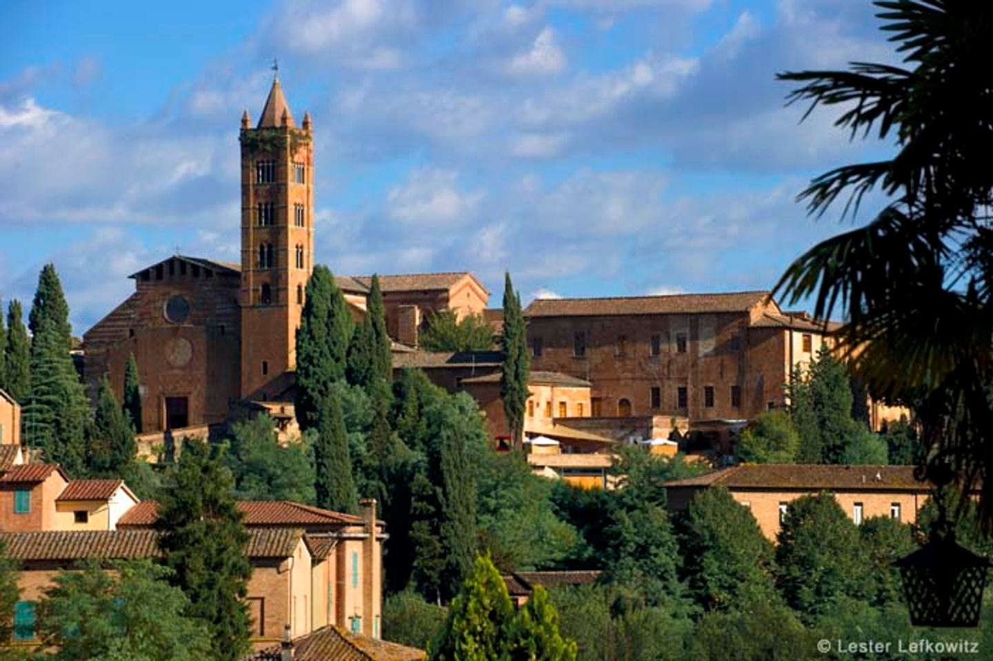 ONLINE CLASS: Italian Language - Elementary I - Continued Unit in Online