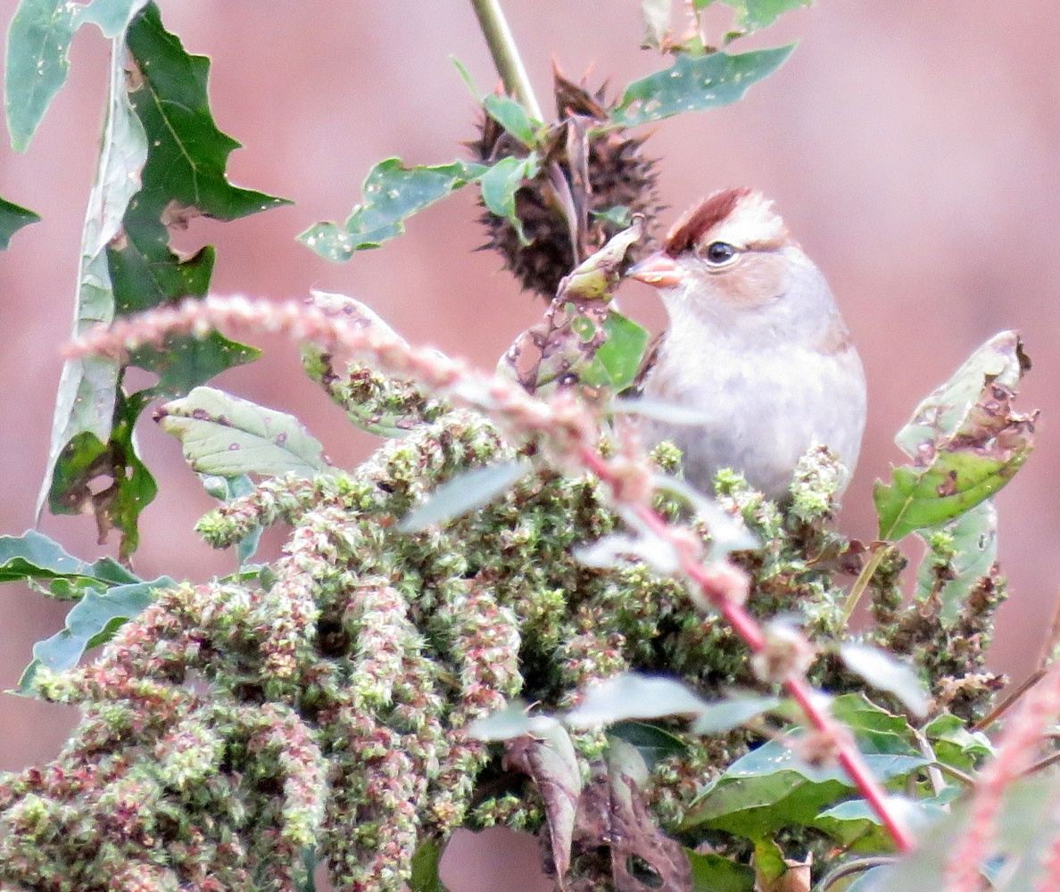 Fall at Sandy Mush in Alexander, NC 28701, USA