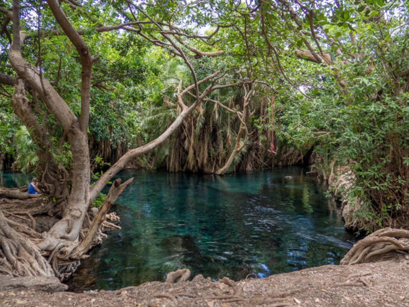 Chemka (Kikuletwa) Hot spring Perfect day trip itinerary in Moshi, Tanzania