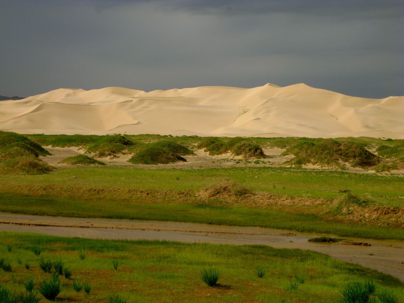 Beauty of Gobi in Gobi-Altai, Mongolei