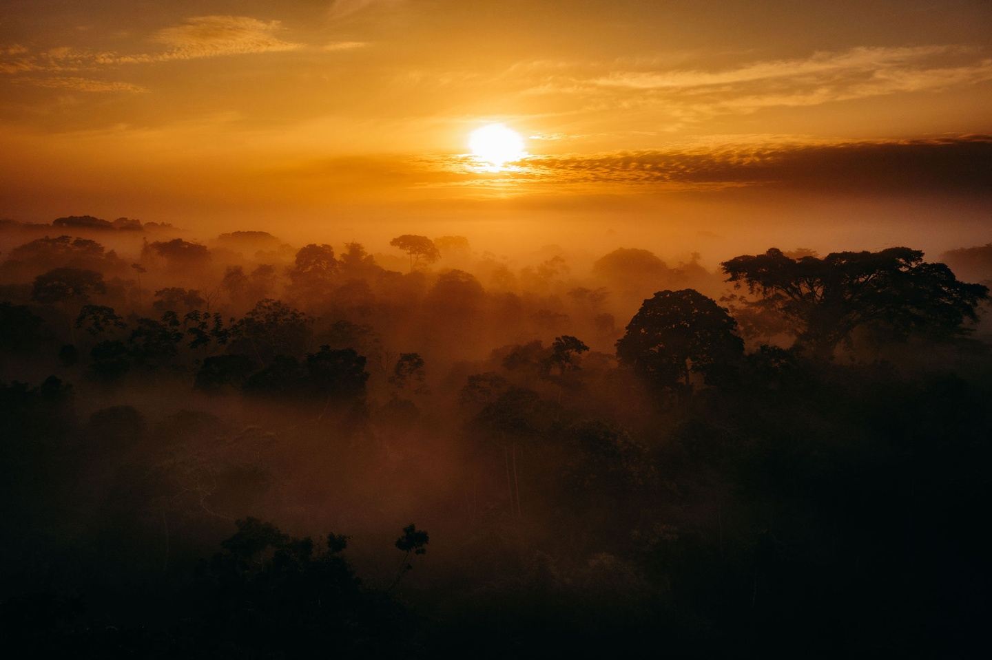 Paths of Wisdom: Ancestral Traditions of the Indigenous Cultures. APR ...