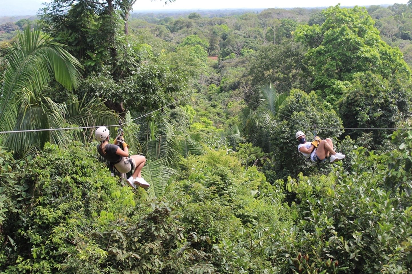 Manuel Antonio Zip Line Canopy Tour in Manuel Antonio Zip Line Canopy Tour