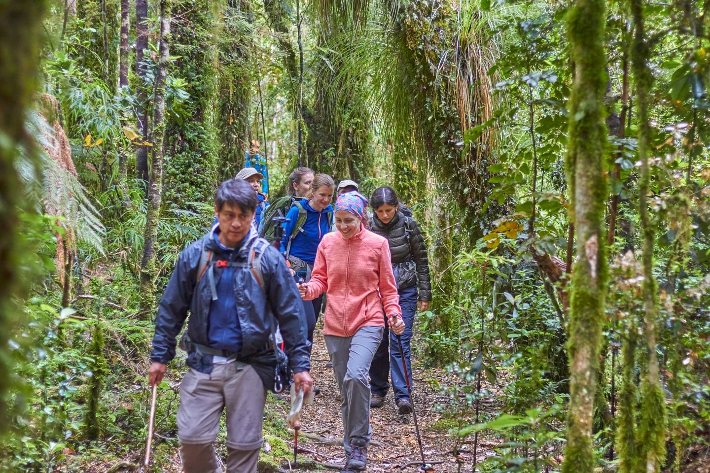 7-Day Epic Pacific Coast Trekking - Lake & Volcano District in Chilean ...