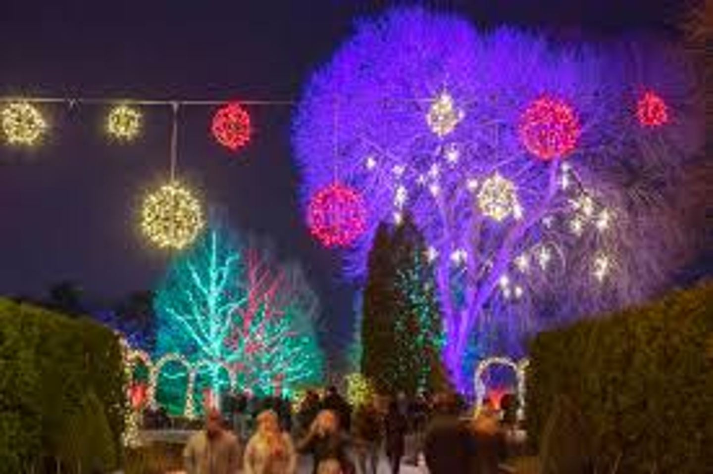 Longwood Gardens Holiday and Lunch in Exton, PA 19341, USA