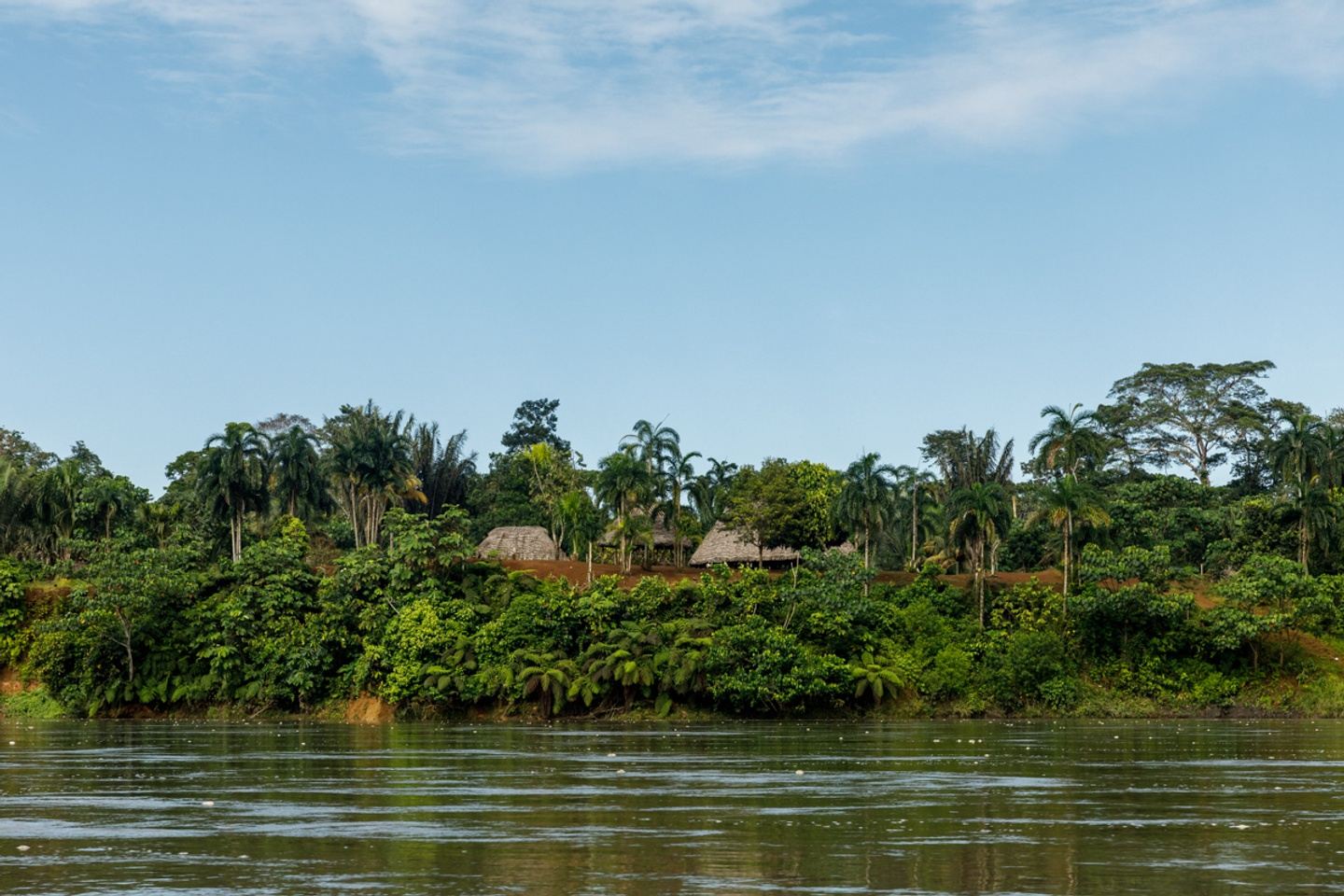 June 2024: Amazon Immersion with the Sapara and Achuar indigenous in ...