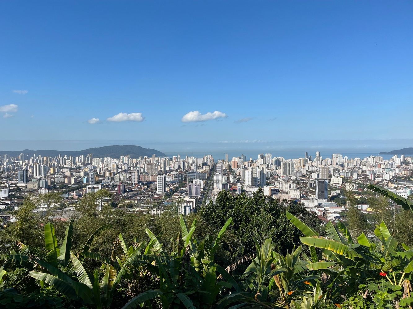 SANTOS – HISTORY AND CULTURE OF THE COAST AND CITY HALF DAY - 1 PAX in ...