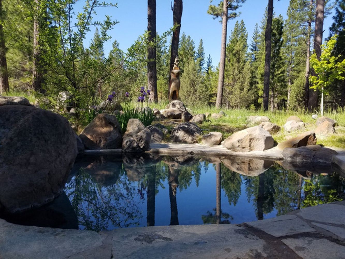 Bhakti Yin & Yang Weekend Retreat at Sierra Hot Springs in Campbell Hot ...