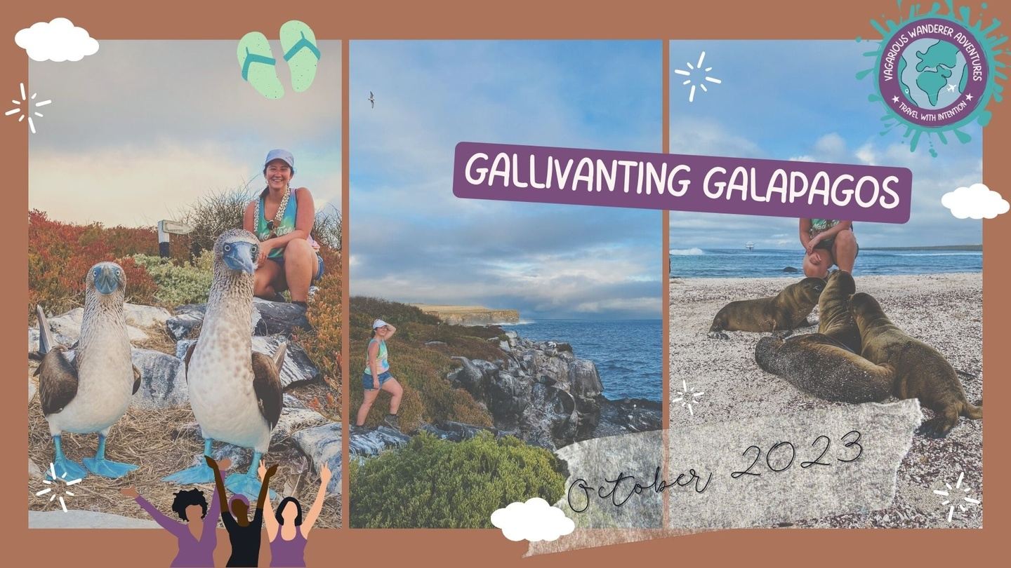Gallivanting Galapagos with Vagarious Wanderer in Puerto Ayora, Ecuador