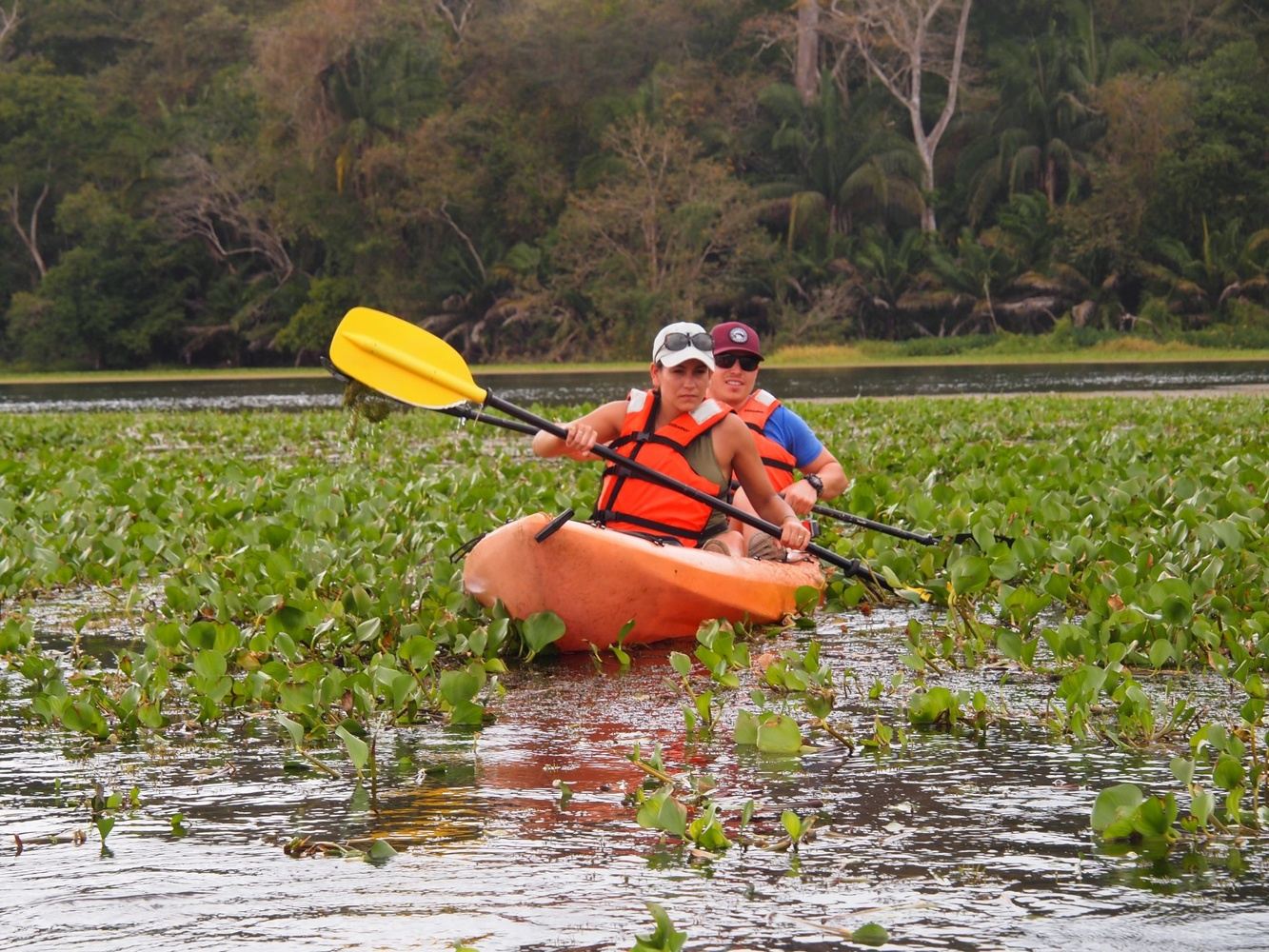 KAYAKING IN THE CHAGRES RIVER in Gamboa, Panamá