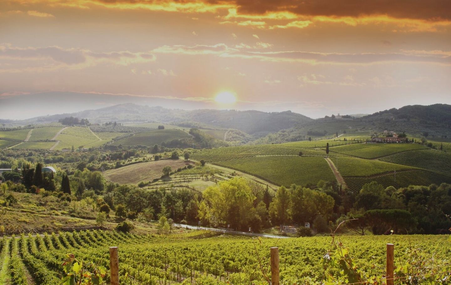Under the Tuscan Sun in Tuscany, Italy