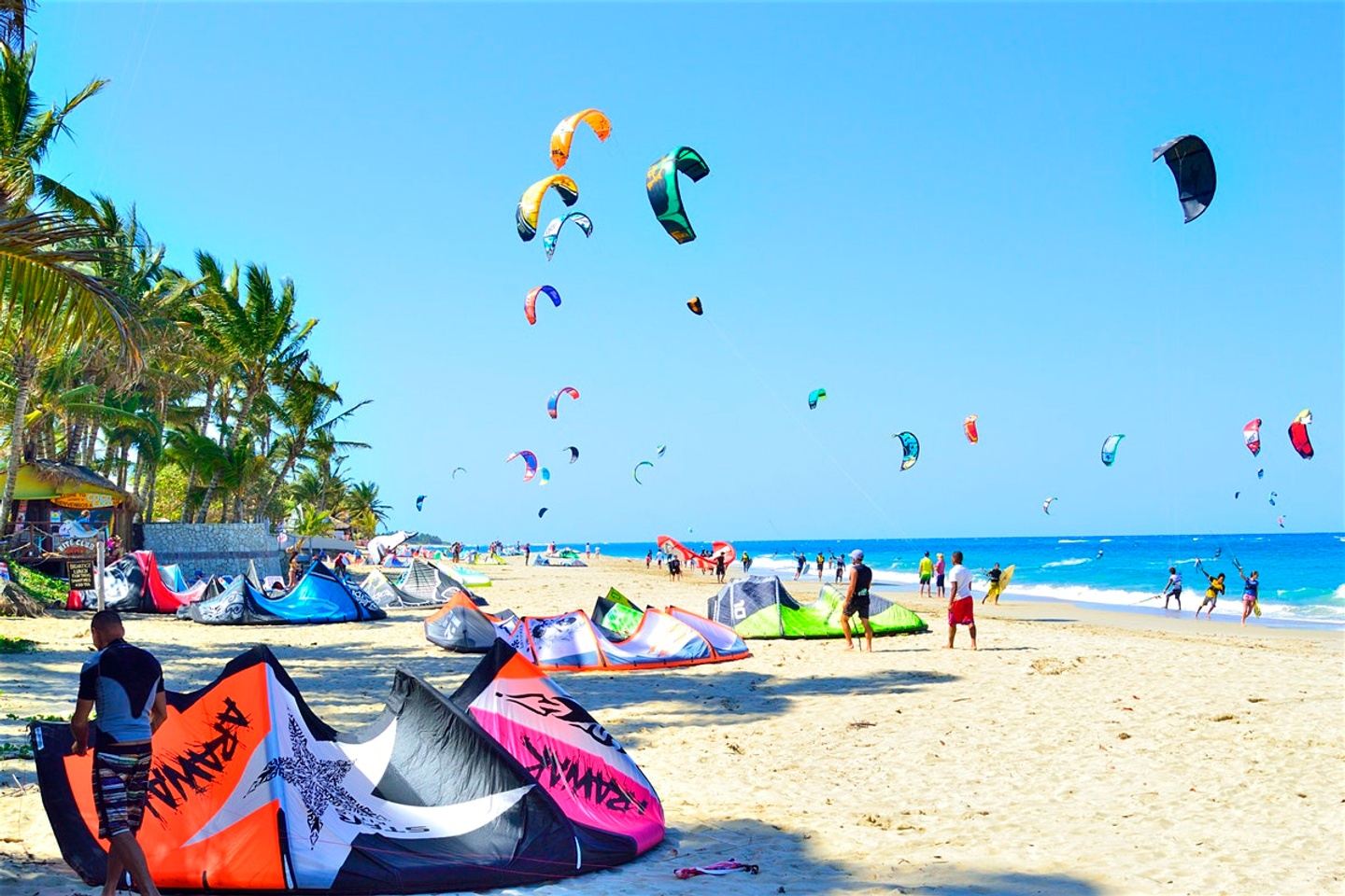 Cabarete Surf And Kite Experience in Cabarete, Dominican Republic