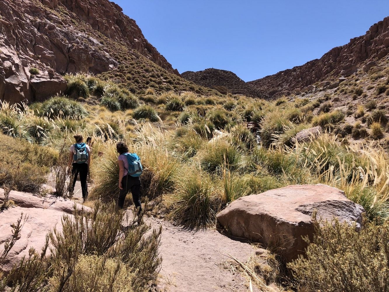7-Day Bike & Hike Women Tour - Atacama Desert in Atacama Desert
