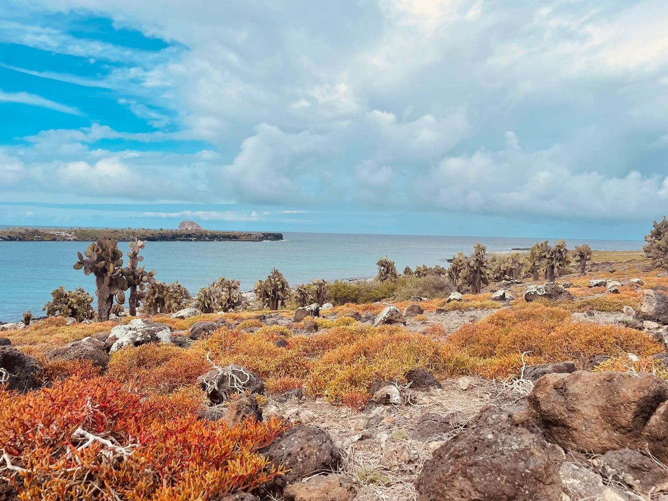 Jewels of Galapagos in Santa Cruz, Ecuador