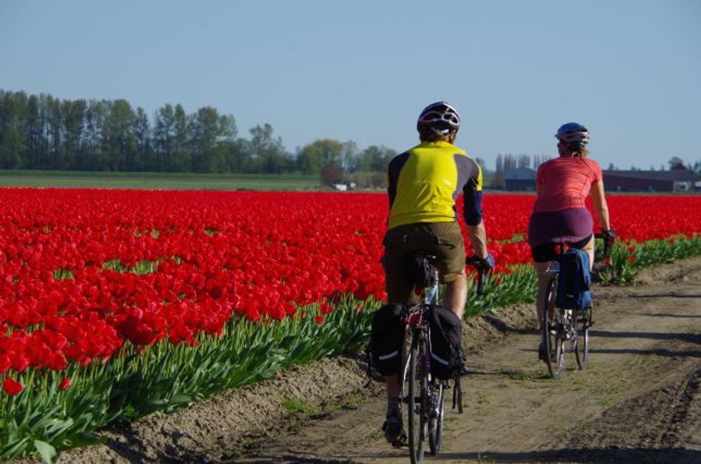 A Bloomin' Bike & Barge! 2025 in Amsterdam, Netherlands