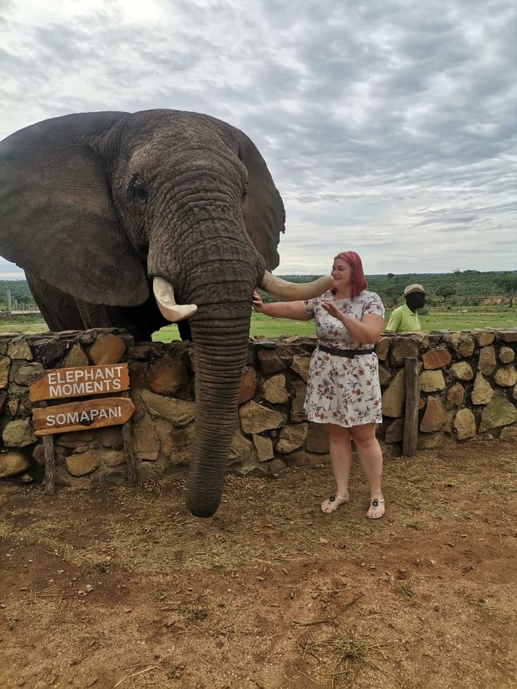 Elephant Interaction (Hoedspruit) in Camp Jabulani