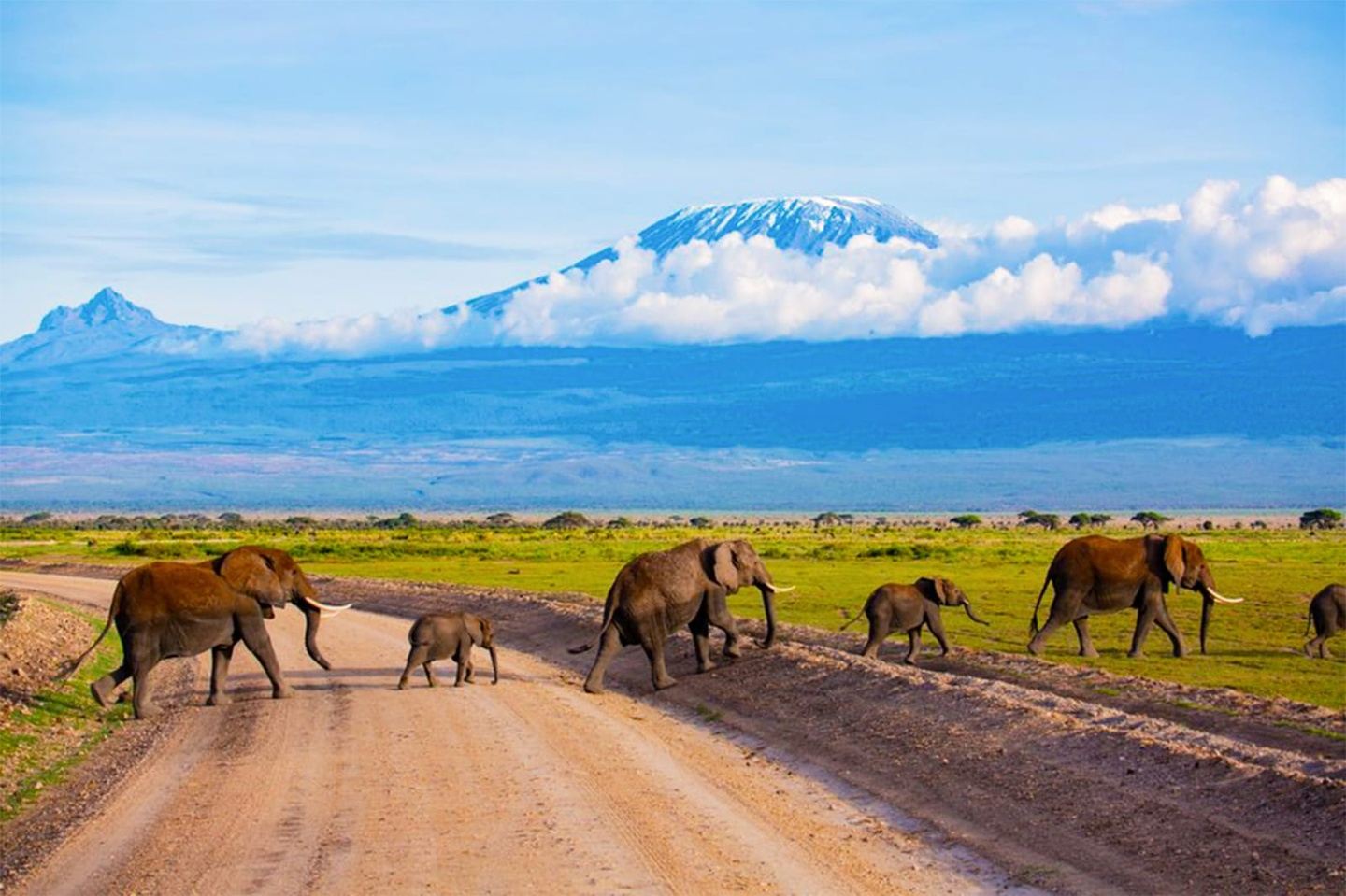 GRAND KENYA SAFARI in Amboseli