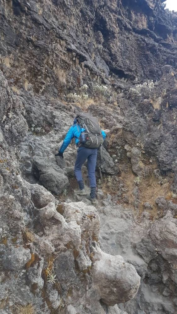 7 Days Climbing Kilimanjaro Rongai route in Rongai, Tanzania